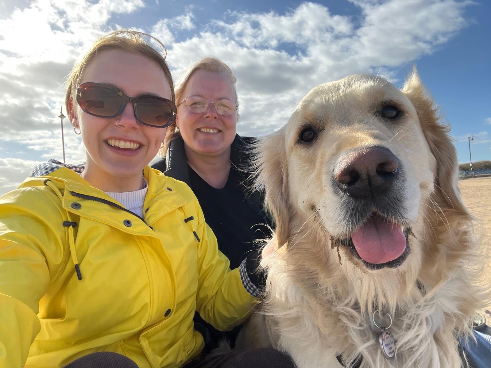 Conservative Party call on government to ban floating bus stops as they cause ‘havoc’ for ...