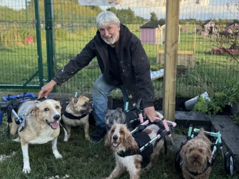 Animal sanctuary provides a haven for disabled dogs